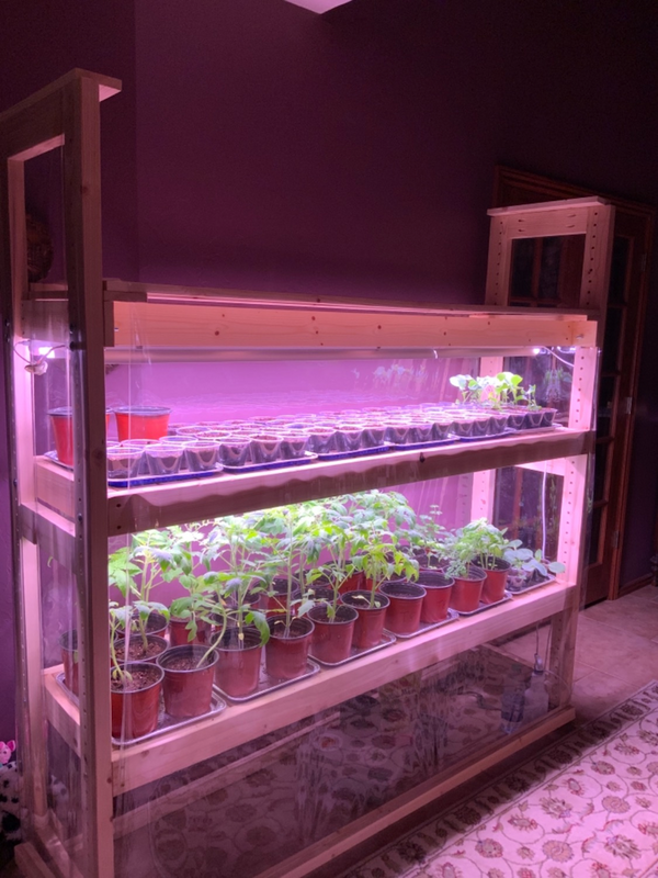 DIY Indoor Greenhouse: Tips and Ideas